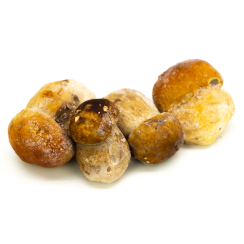 BOLETUS ENTERO PP - Arotz Food